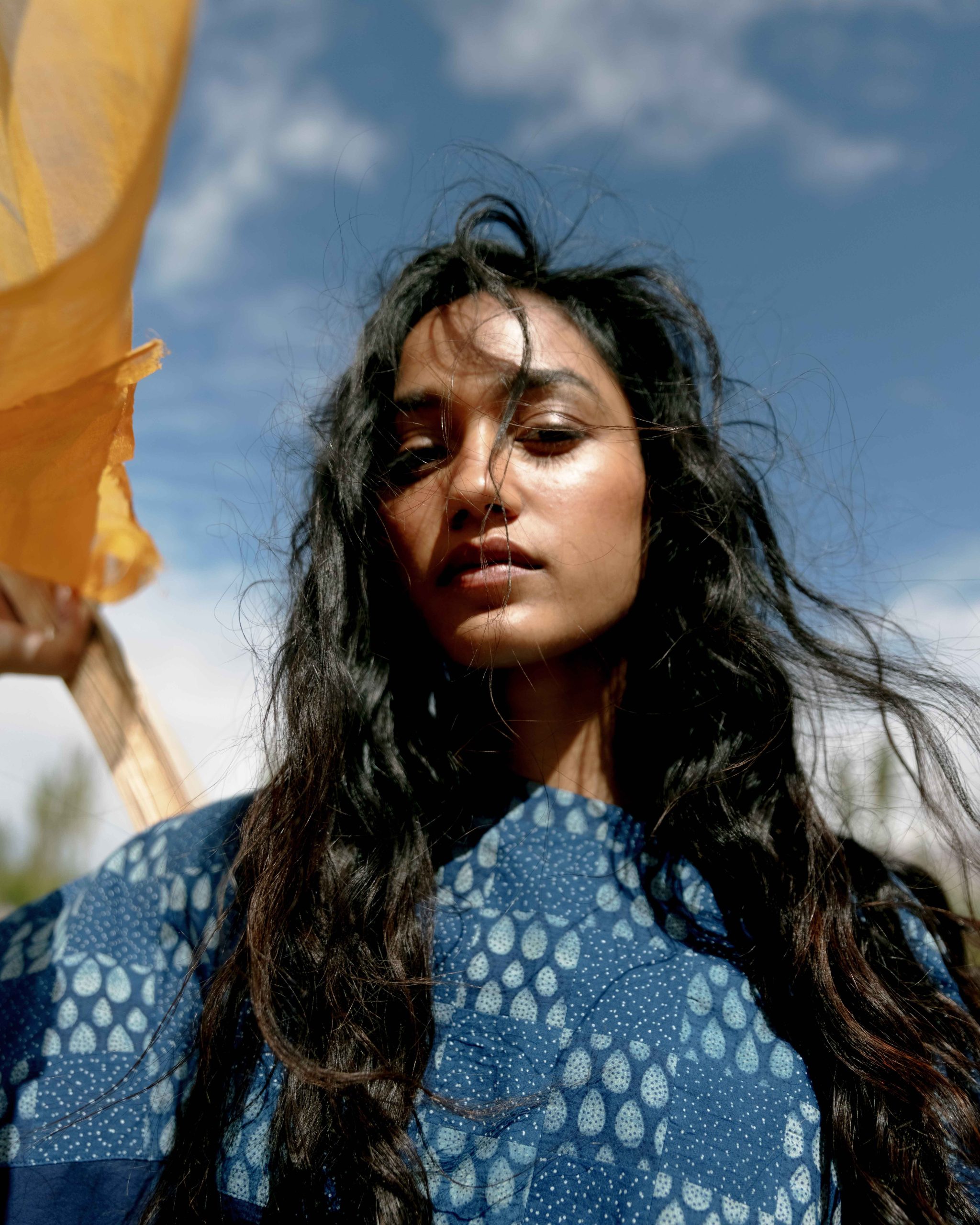 FabIndia Feat. Artists